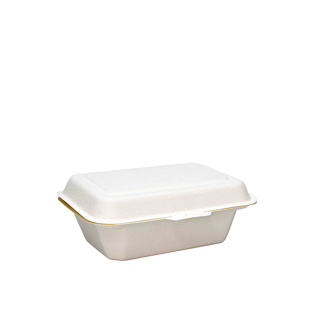 Sugarcane Clam Rectangle Natural 182x136x68mm Earth Essentials ...