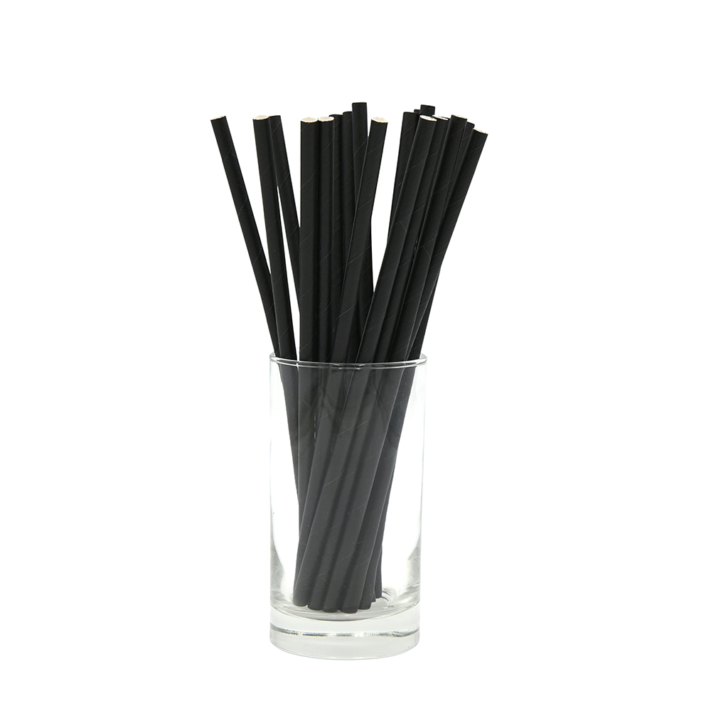 Paper Straws Black Regular 205mm Earth Essentials - 3456279 | Reward ...